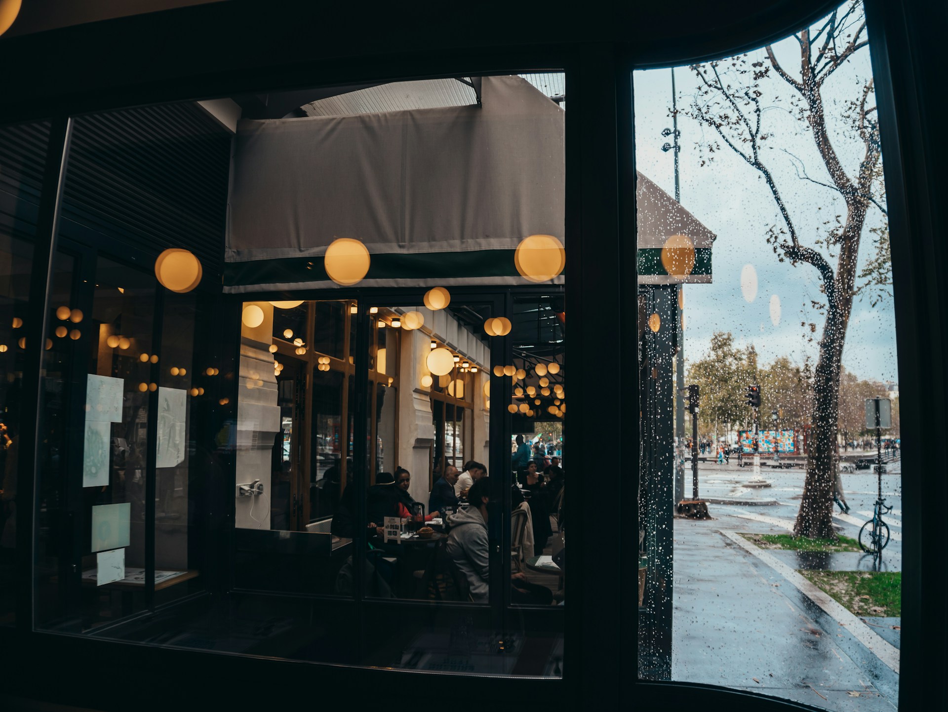 The Best Restaurants in Ann Arbor You Probably Haven't Tried - MIAnnArbor