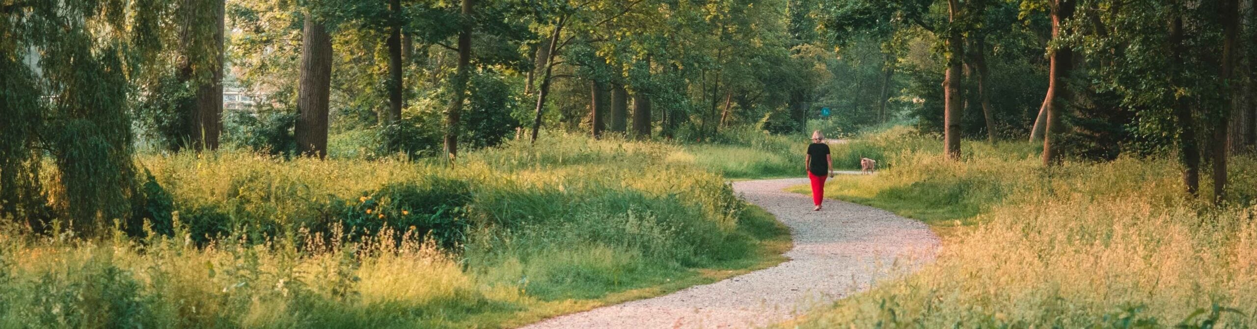 A Local’s Guide to the Best Walking Trails in Ann Arbor - Miannarbor